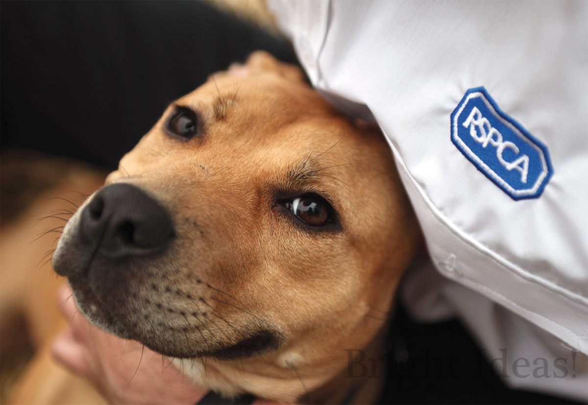 RSPCA My Cause UK